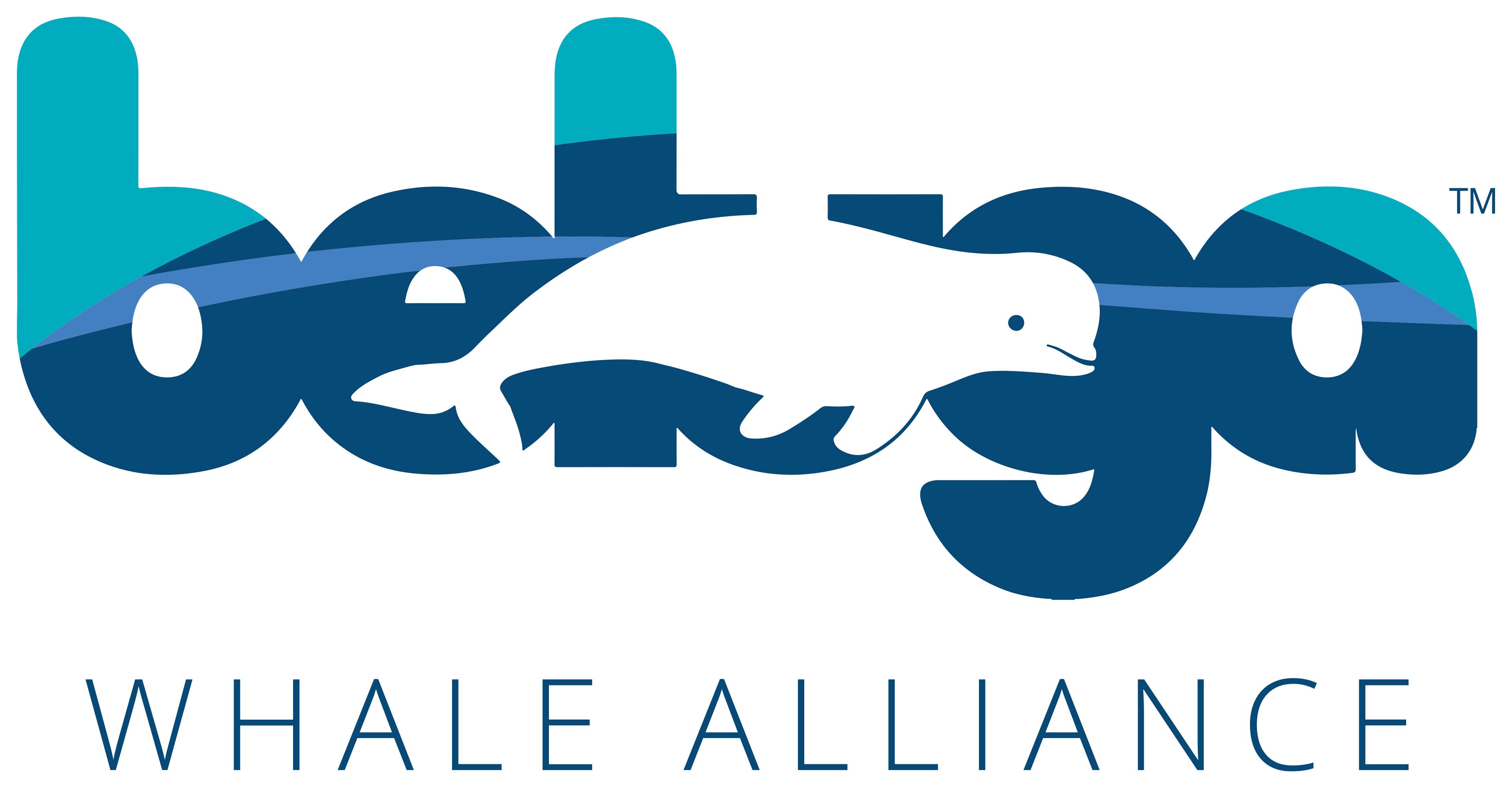 Team – Alaska Beluga Monitoring Program